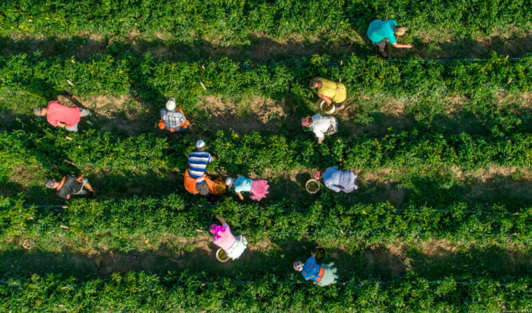 Why Manufacturers Can't Ignore the Shift to Sustainable and Responsible ...