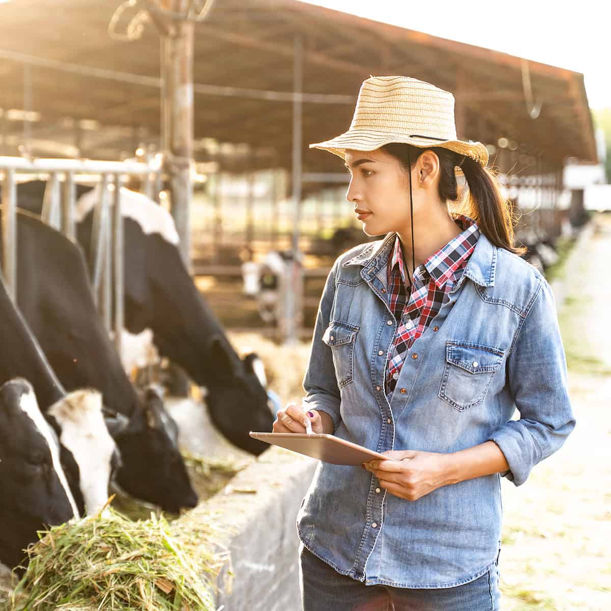 Sedex amplía su presencia en EE.UU. | Sedex