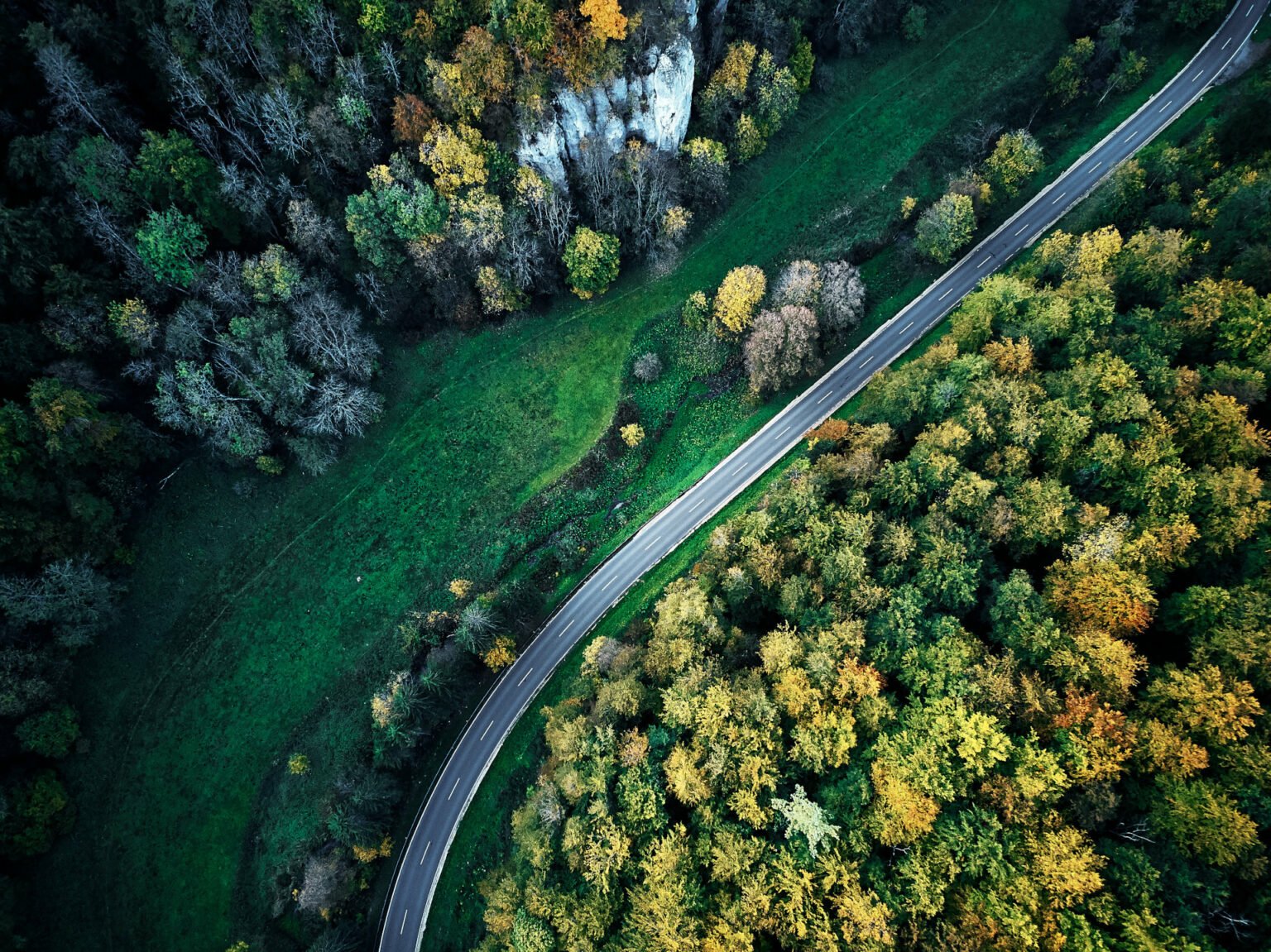 Understanding the California Transparency in Supply Chains Act