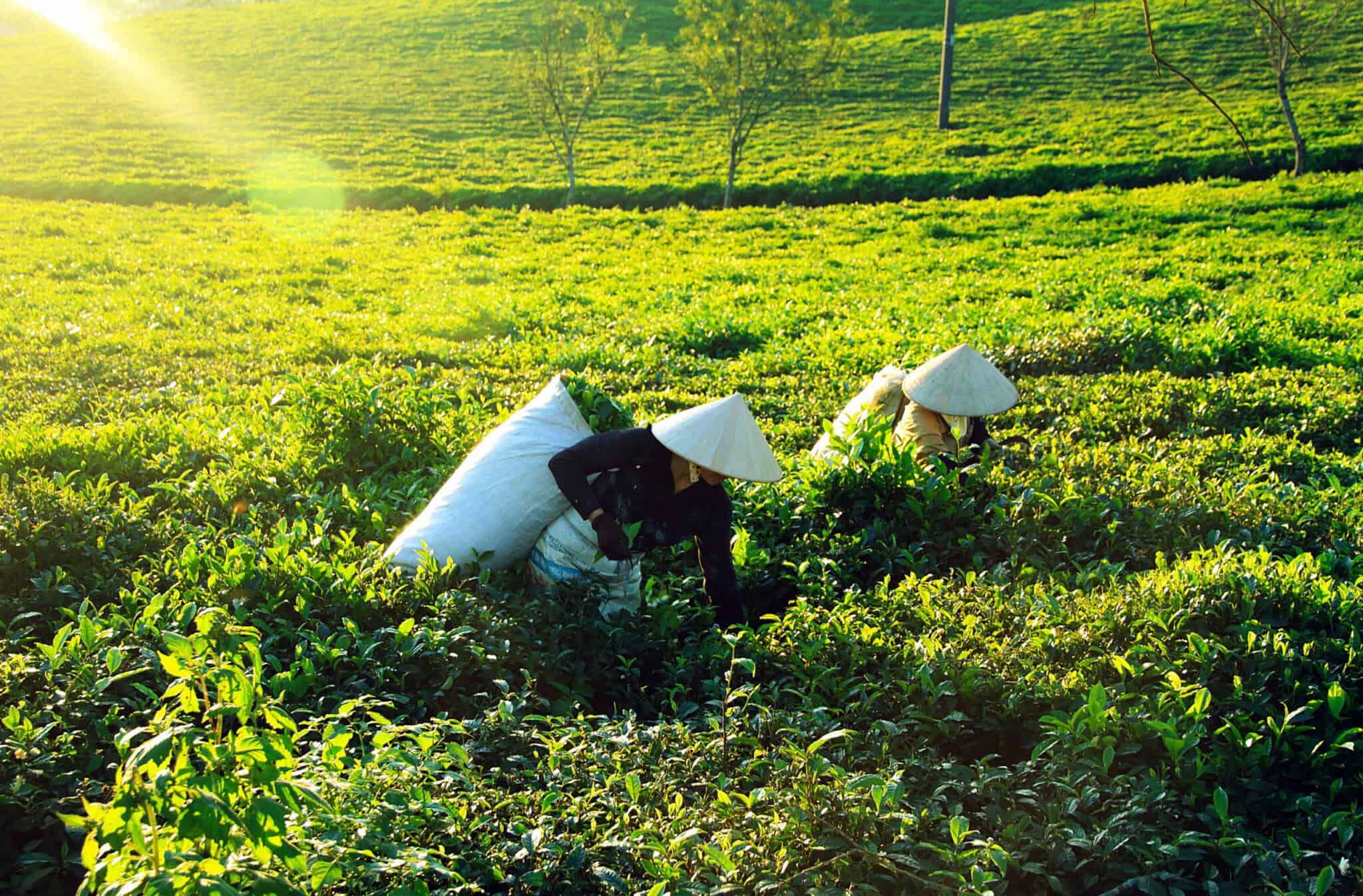 Sedex lanza una nueva herramienta de evaluación de riesgos - En su radar