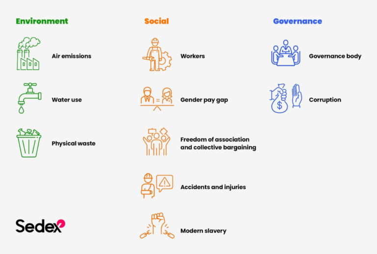 Achieve Your ESG Goals Seamlessly with Sedex