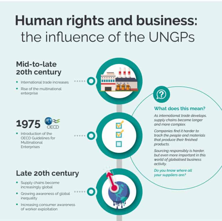 UN guiding principles in supply chain due diligence laws | Sedex