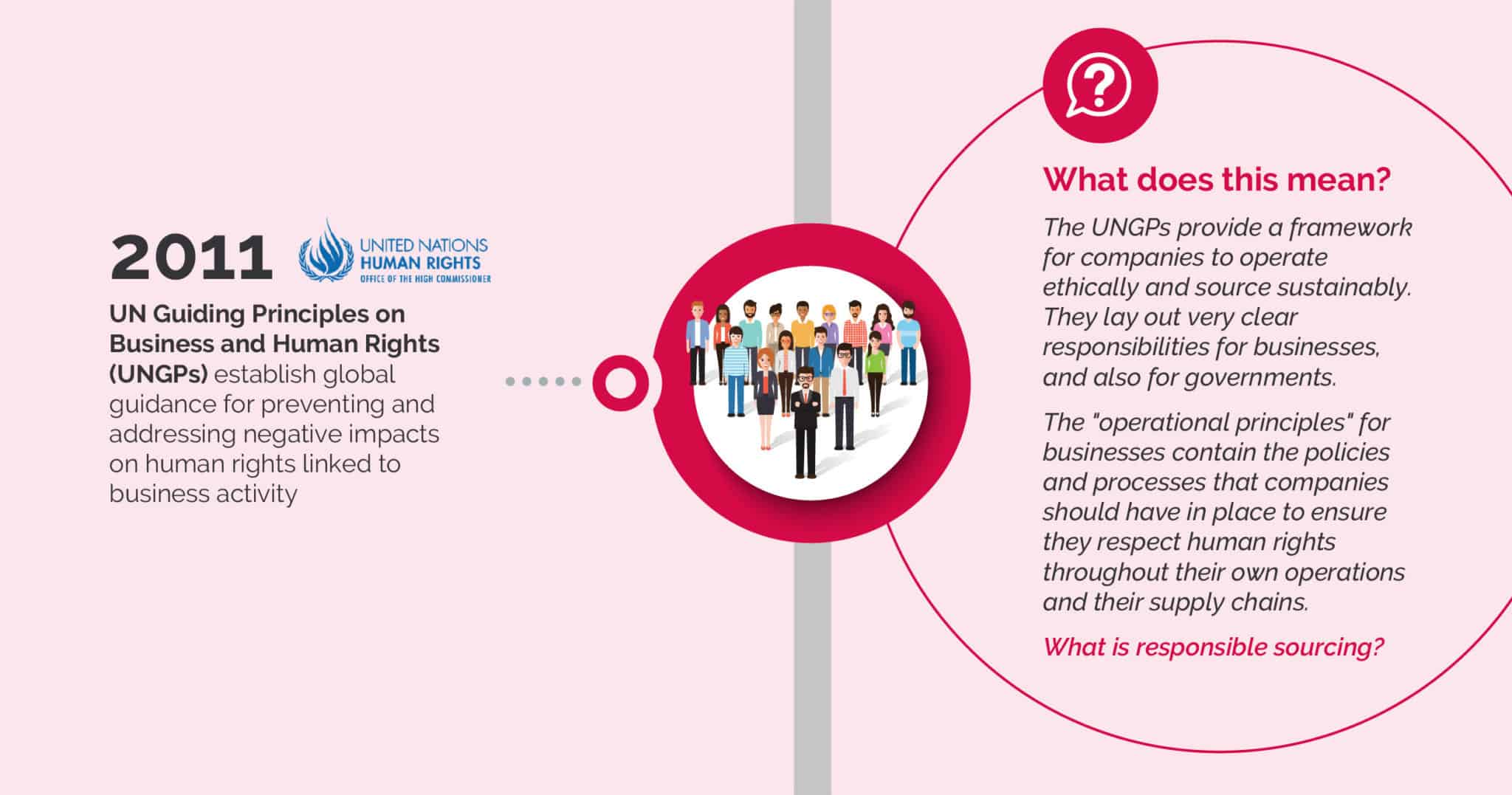 UN guiding principles in supply chain due diligence laws | Sedex