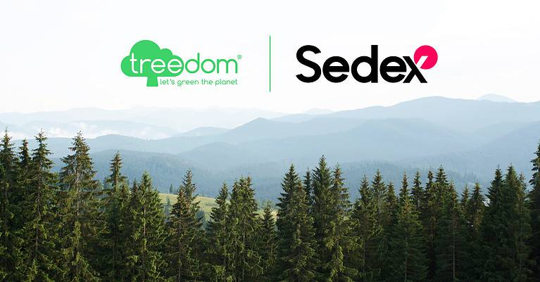 Sedex and Treedom: Join us in planting a tree for every purchase