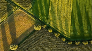 新版 Sedex 自我评估问卷 SAQ – 产品供应商适配 正式发布 - Sedex