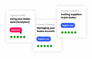 Sedex Training: Sustainable Business Solutions for Businesses Like Yours