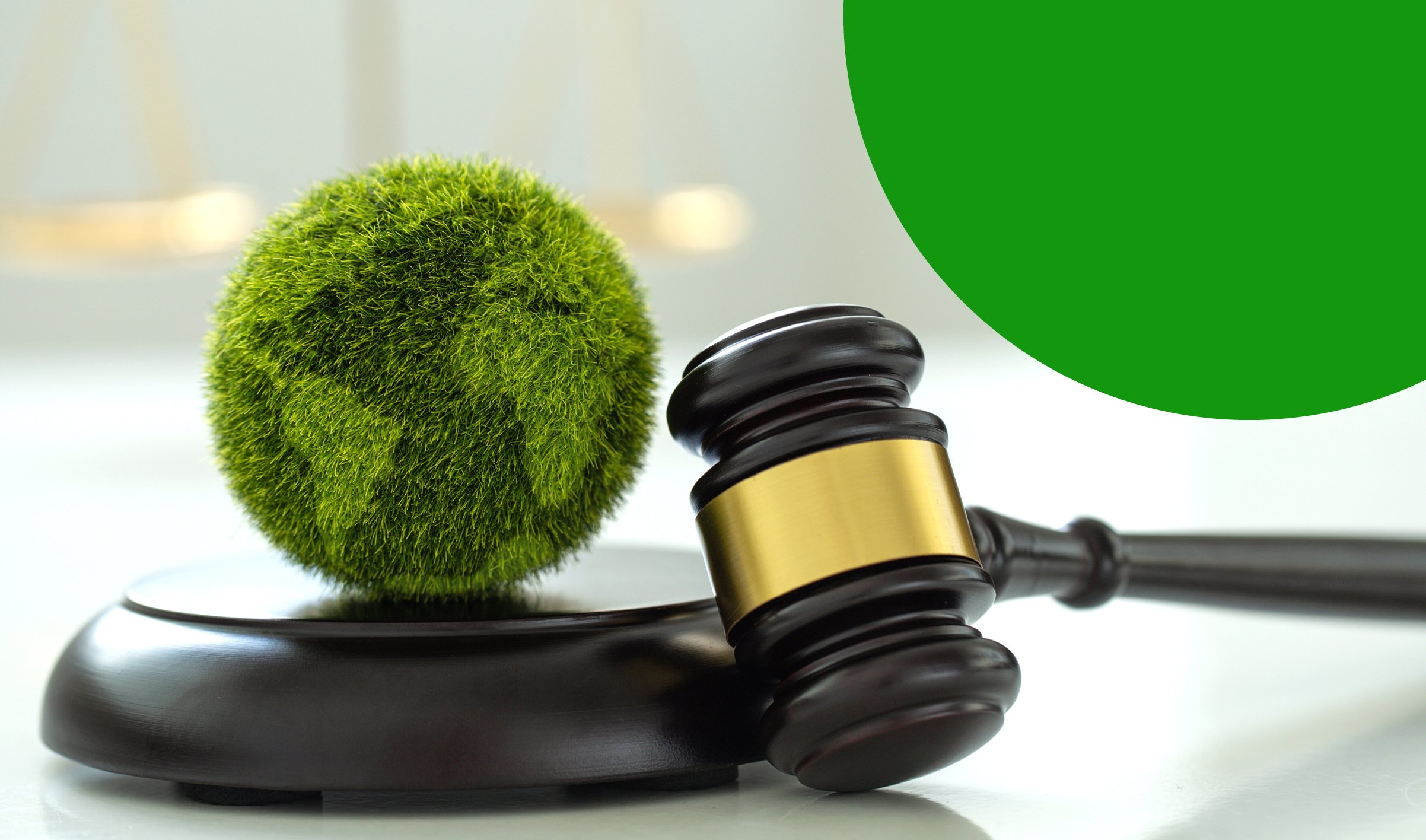 What is the EU Corporate Sustainability Reporting Directive (CSRD)? - Sedex