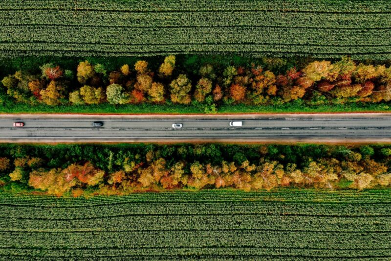 How to Drive CSR Goals in Your Supply Chain - Sedex