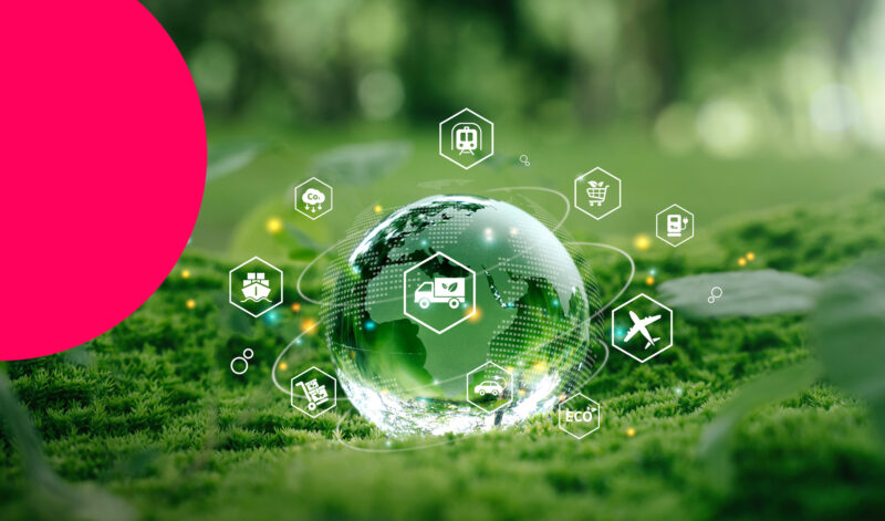 Sedex at a Glance: Essential Quick Facts