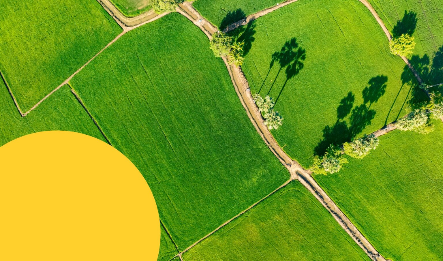 Learn how to make your supply chain more sustainable with Sedex