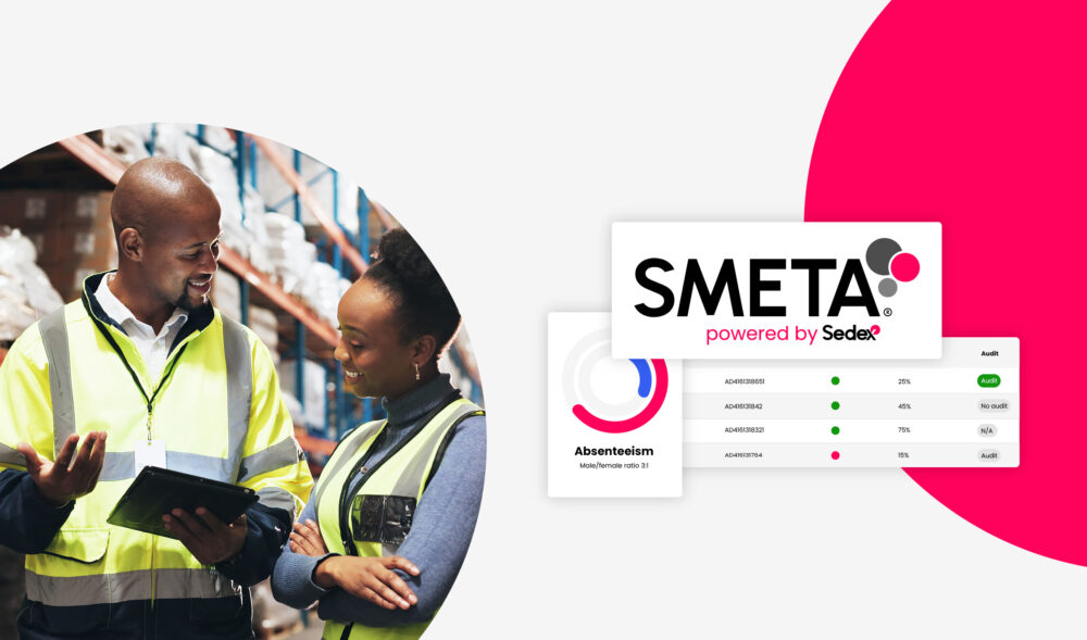 Unlock the Full Value of SMETA Audits with Sedex | Enhance Your Supply ...
