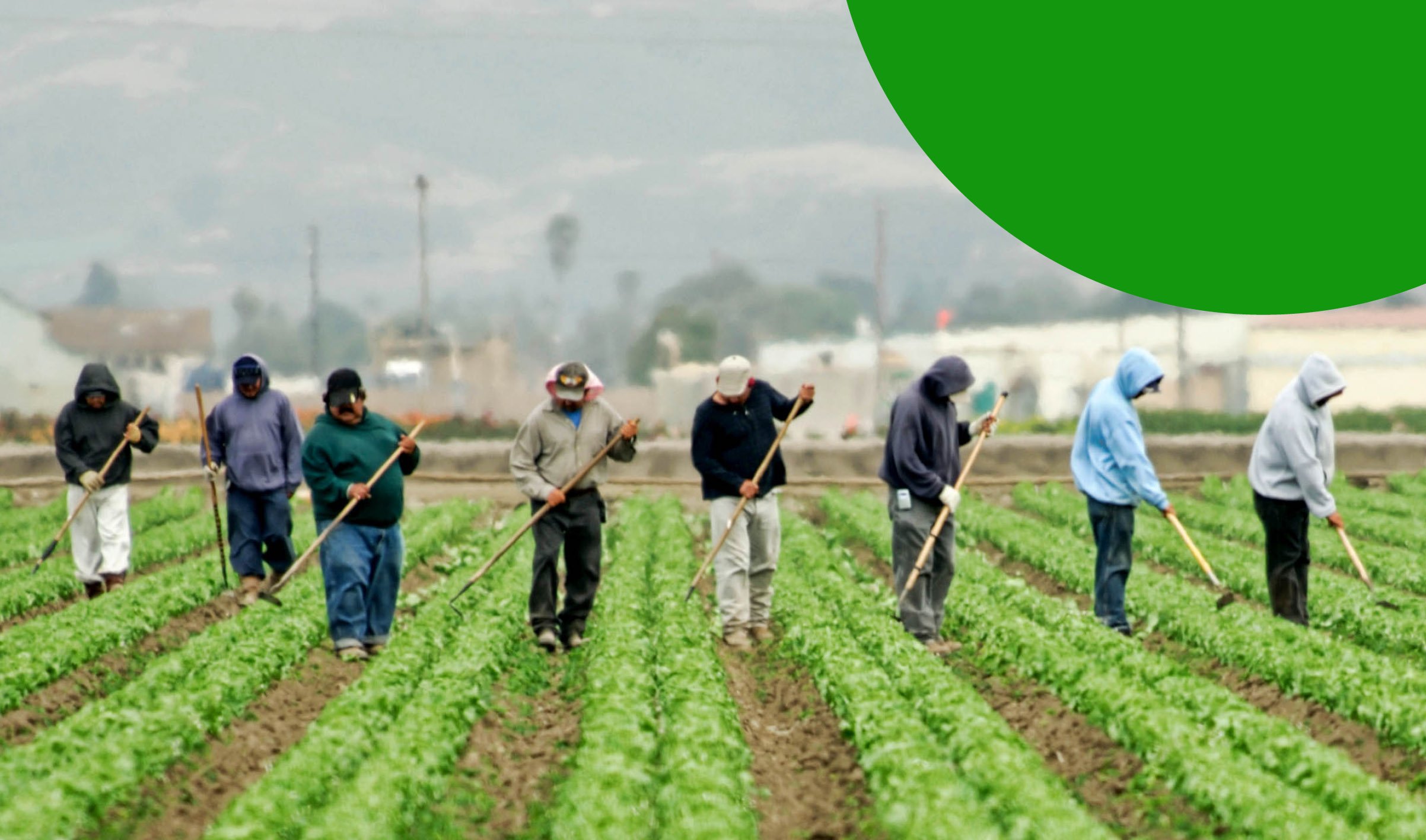 Modern Slavery in Supply Chains | Sedex Business Guide