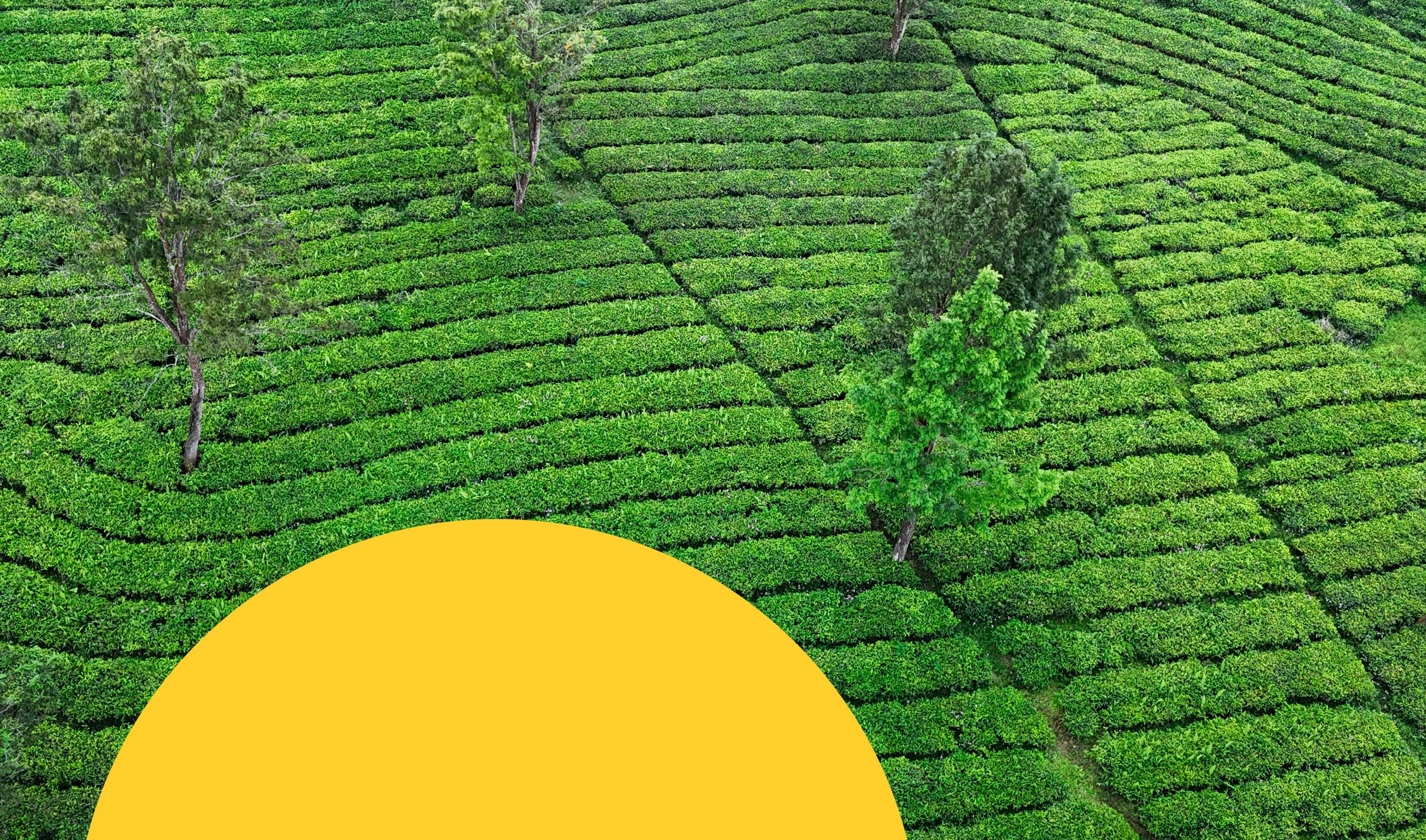 How Global Businesses Can Get Ready for APAC’s Sustainability Reporting ...