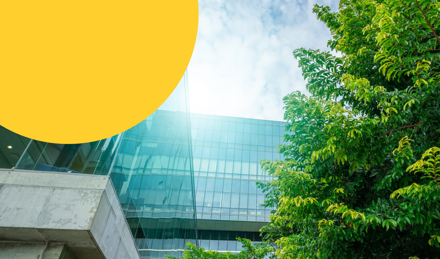 Scopri il potere dell'iscrizione a Sedex | La tua guida completa